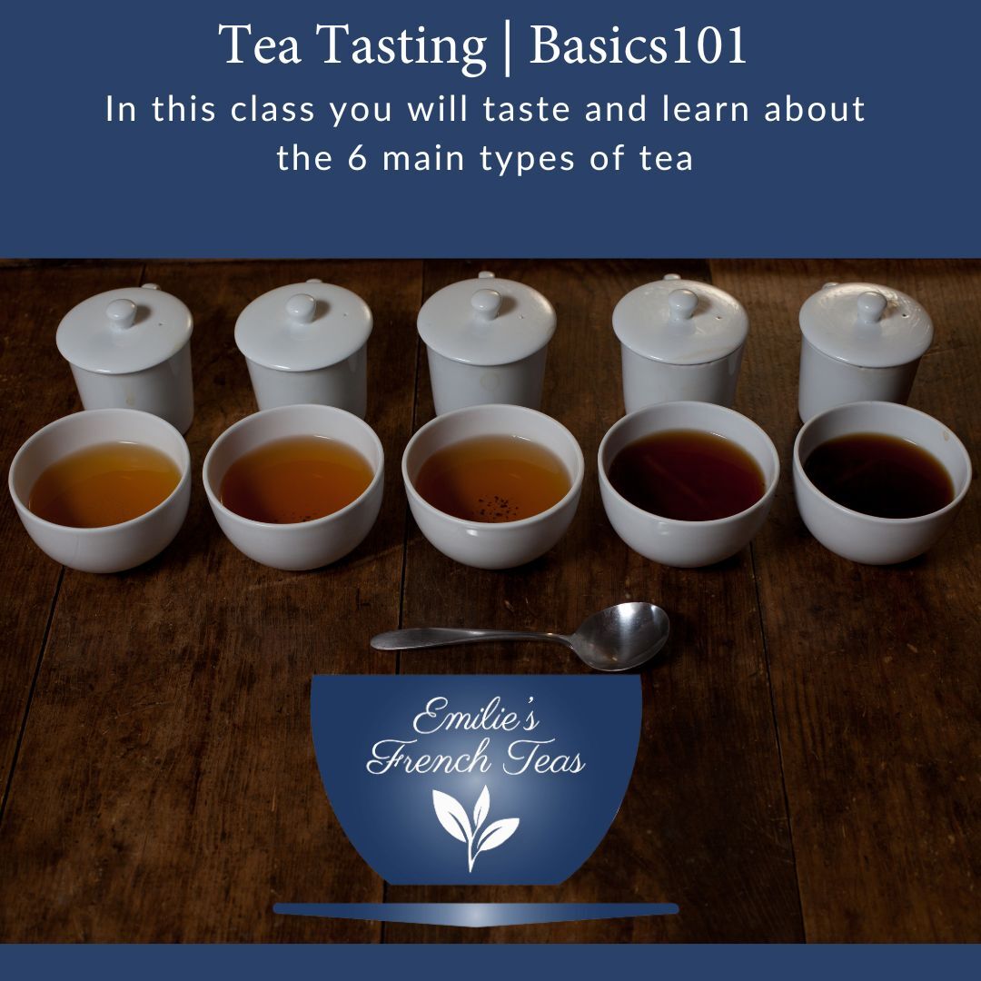 Tea Tasting | Basics 101 | July 2025 | Emilie's French Teas